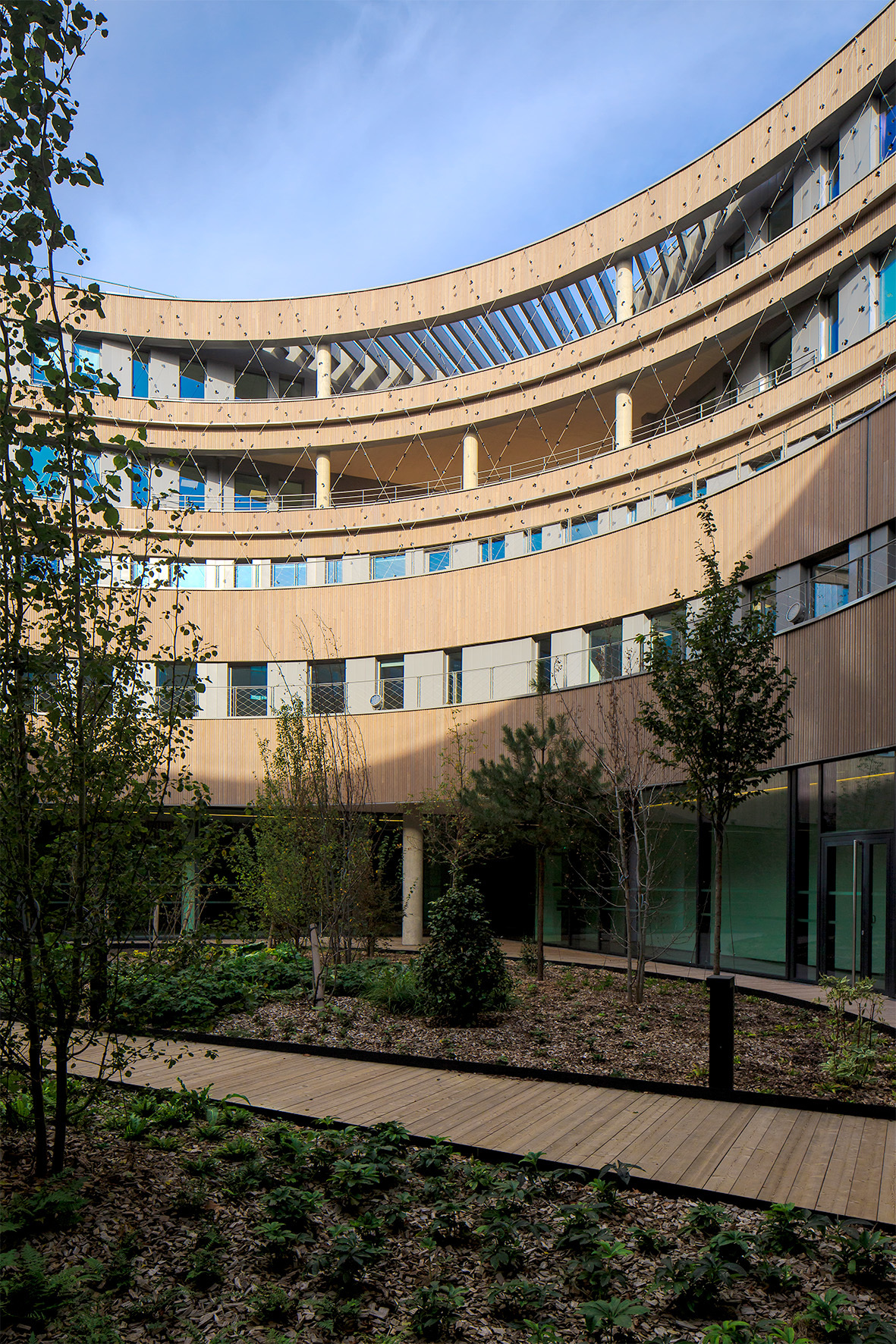 CIRC - IARC - International Agency for Research on Cancer | Art Build